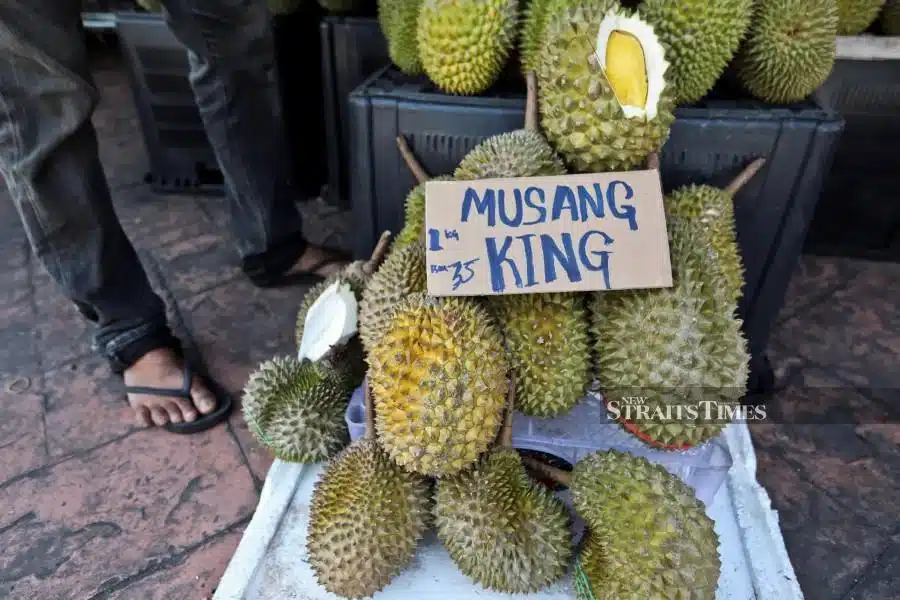 Lepas pelitup muka, musang king pula dapat sijil sirim