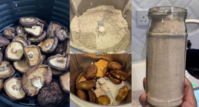 Tak perlu lagi letak Ajinomoto, perasa ini gerenti sedap hanya perlu 3 ...